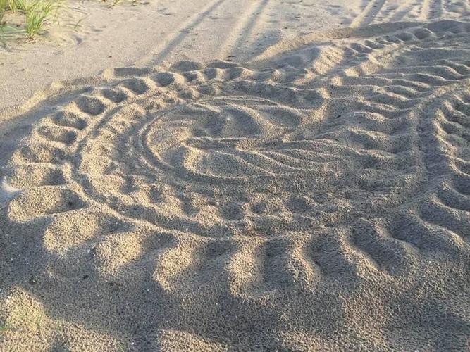 Keep beaches safe for hatching sea turtles | News | yoursun.com