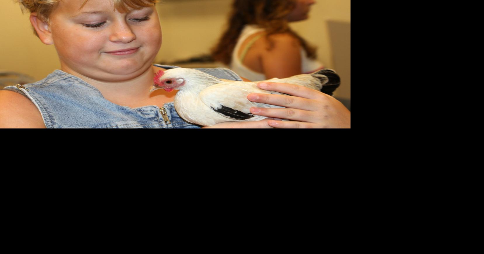 Fur n’ Feathers spotted at 4H club meeting | News Archives | yoursun.com