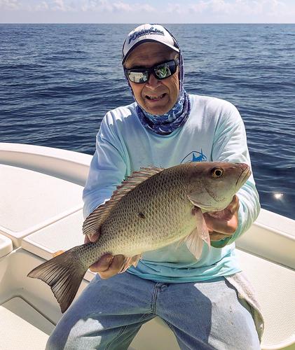 Reader photos | Waterline | yoursun.com