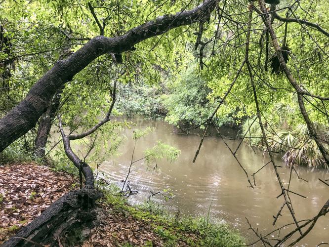 On the trail at Shell Creek | Daily Break | yoursun.com