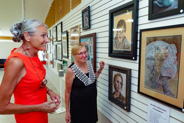 Visual Art Center members showcase their best work in latest show ...