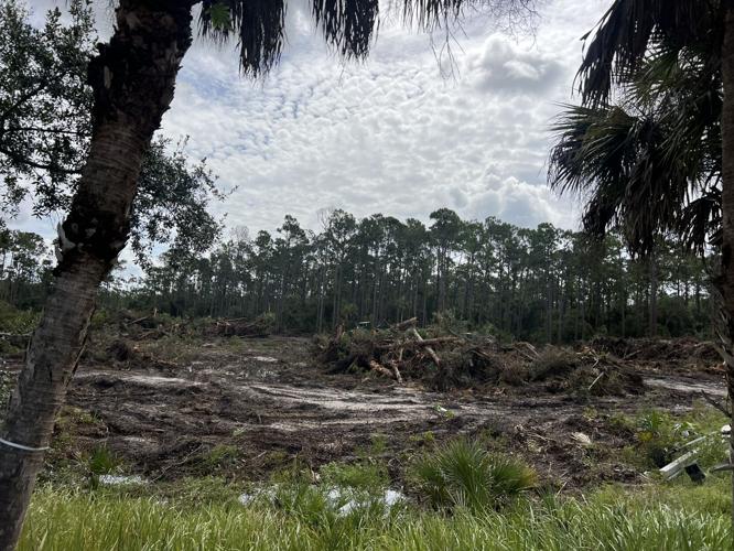 NORTH PORT: Trees cleared as large projects take shape | News | yoursun.com