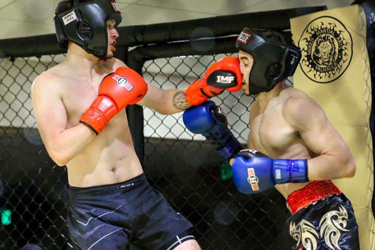 Valhalla MMA cage fights | | yoursun.com