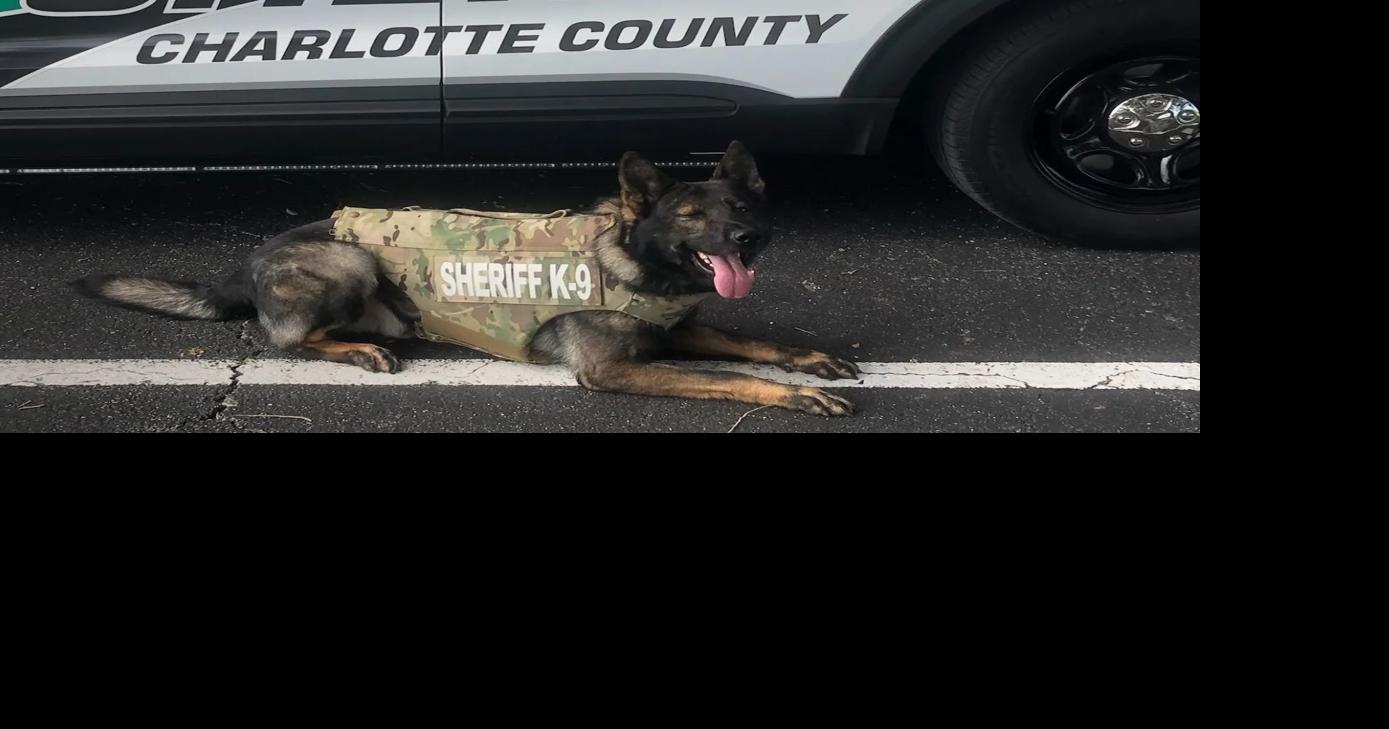 CCSO receives protective vests for K9s | Port Charlotte News | yoursun.com