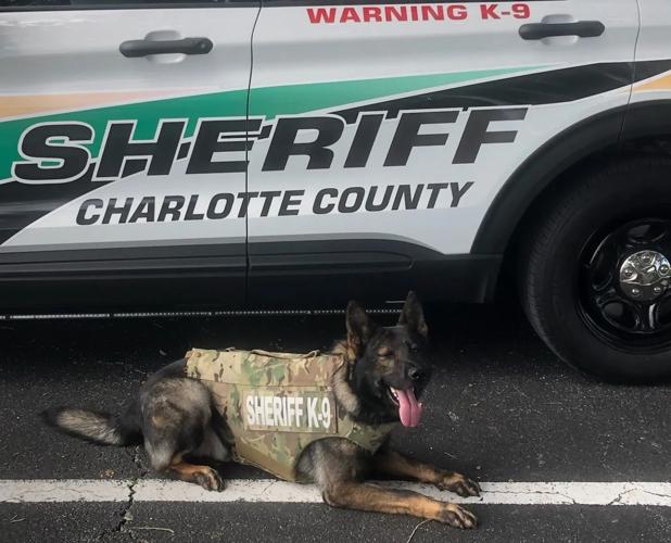 CCSO receives protective vests for K9s | Port Charlotte News | yoursun.com
