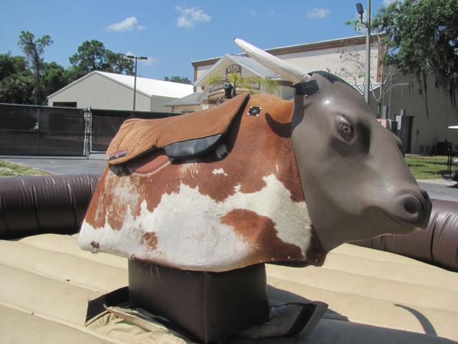 Country crowd | News Archives | yoursun.com