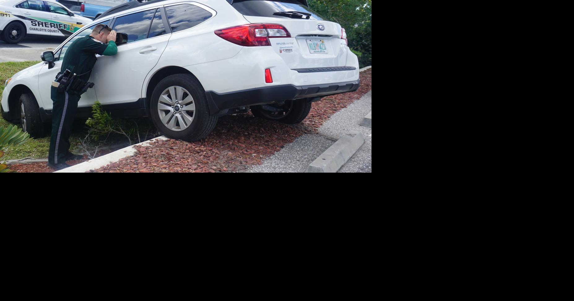 Driver goes wrong way into swale | Port Charlotte News | yoursun.com