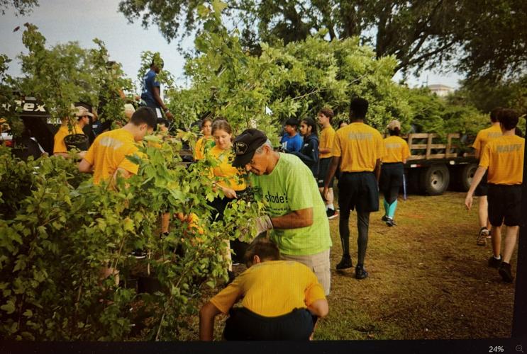 People for Trees' Tree Fair set for April 27 | Go! | yoursun.com