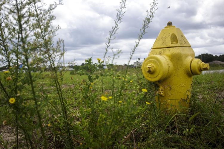 ‘Stuck’ SNL hydrant was just a fluke | Newsarchives | yoursun.com