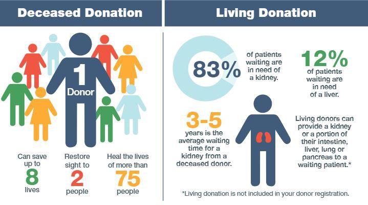 Life after death: How organ donation turned one woman's grief into hope ...