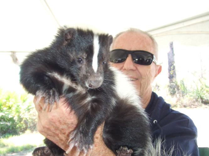 Wild weekend | News Archives | yoursun.com