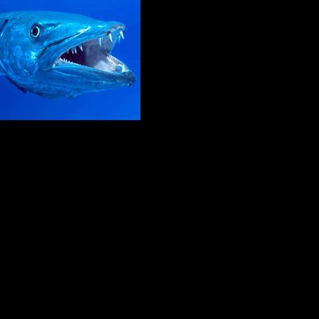 Slack Tides | Waterline | yoursun.com