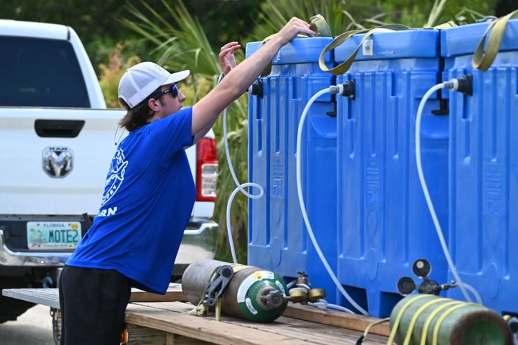 WITH VIDEO: Mote Marine releases 2,000 snook into Charlotte County ...