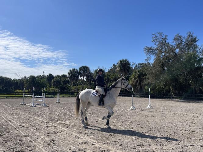 Horsing around at Fox Lea Farm | News | yoursun.com