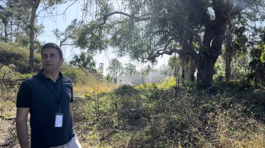 What is a microforest? North Port considers concept to help with local ...