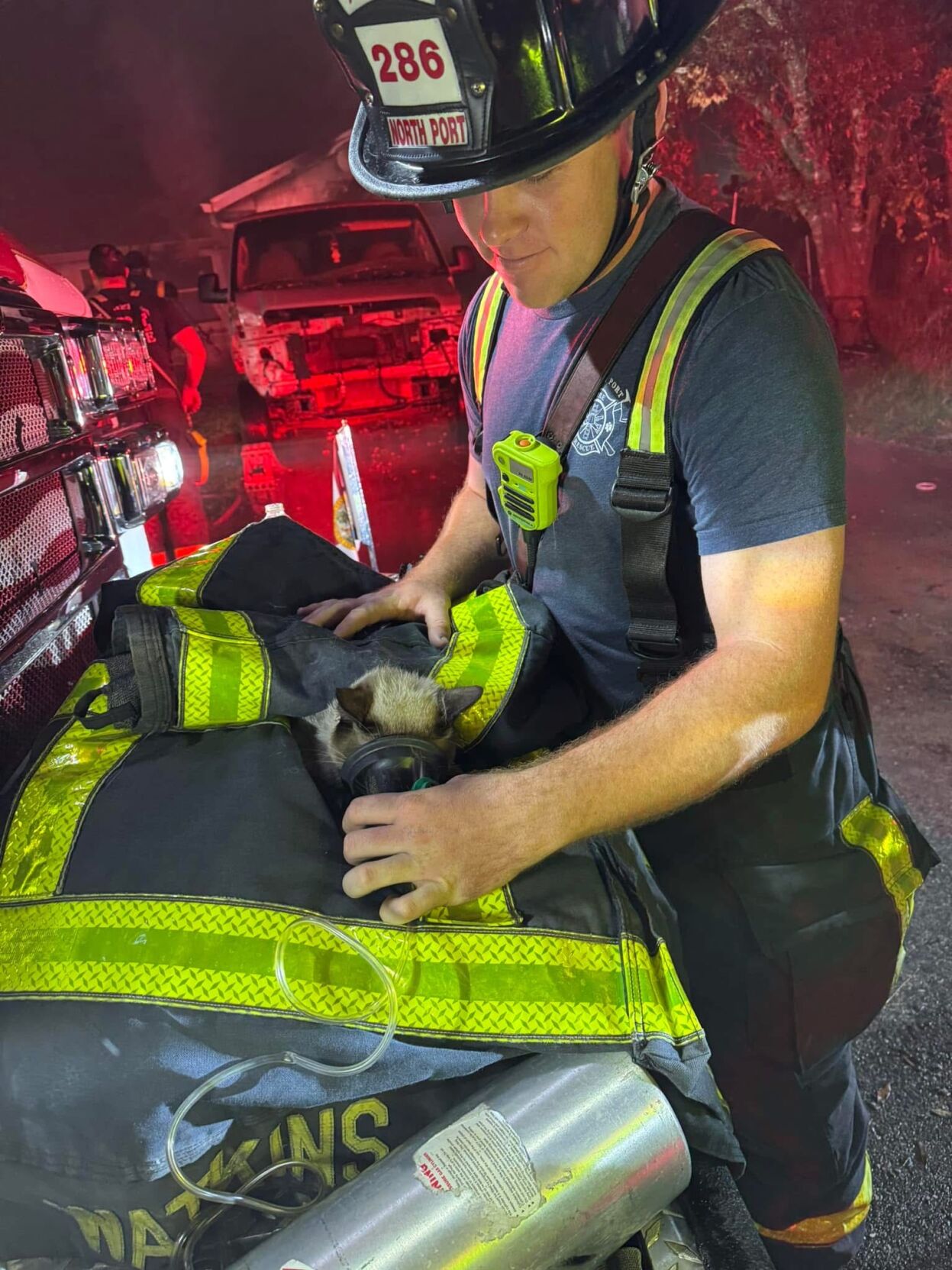 HOUSE FIRE: North Port Fire rescues dog, four cats on 'busy night ...