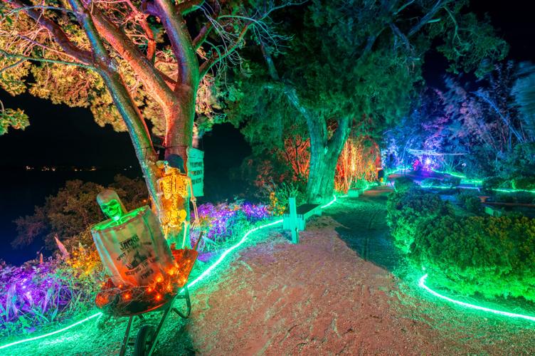 Encounter whimsical Halloween displays and imaginative light ...