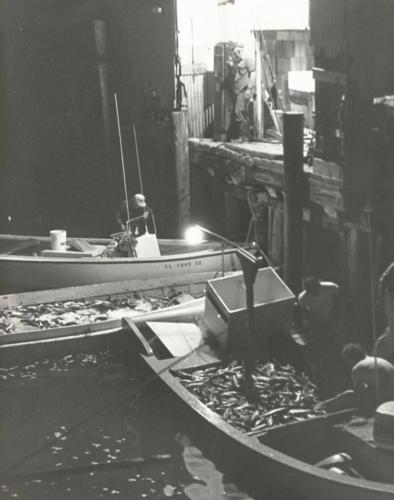 When the Fishery was the focus of Placida | News | yoursun.com
