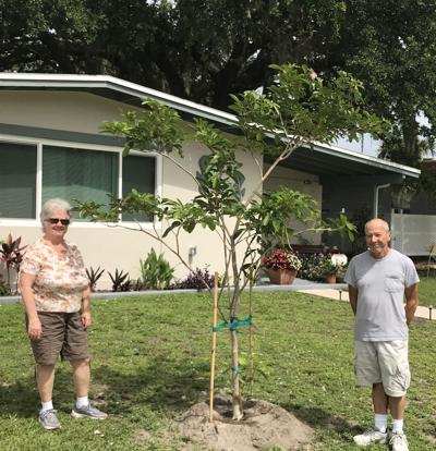 Parkside needs more trees | Port Charlotte News | yoursun.com