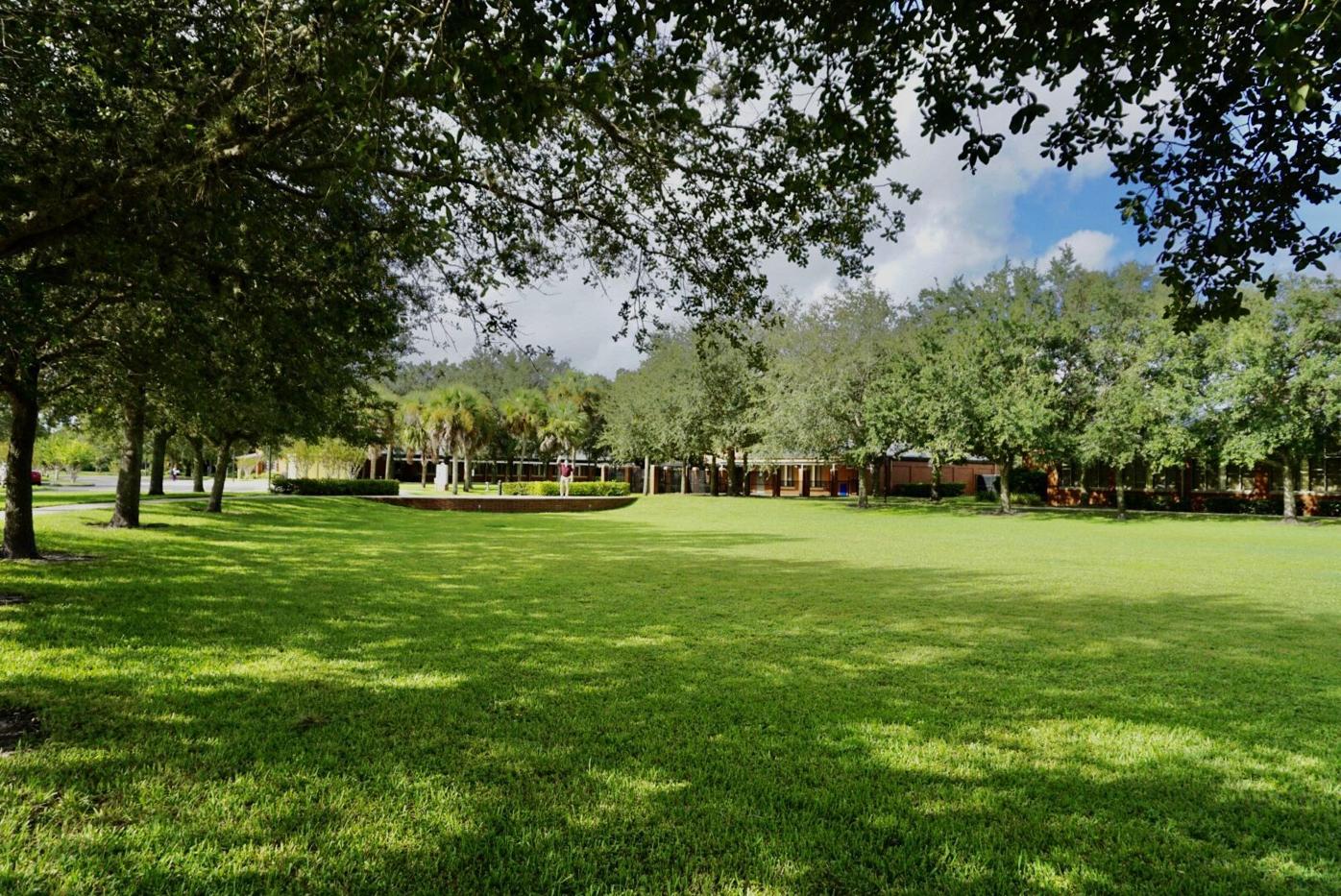 Punta Gorda Symphony announces plans for live and livestreamed programs ...