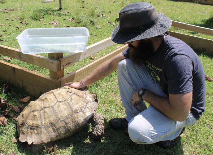 Biologist plans to bring reptiles back to schools | Port Charlotte News ...