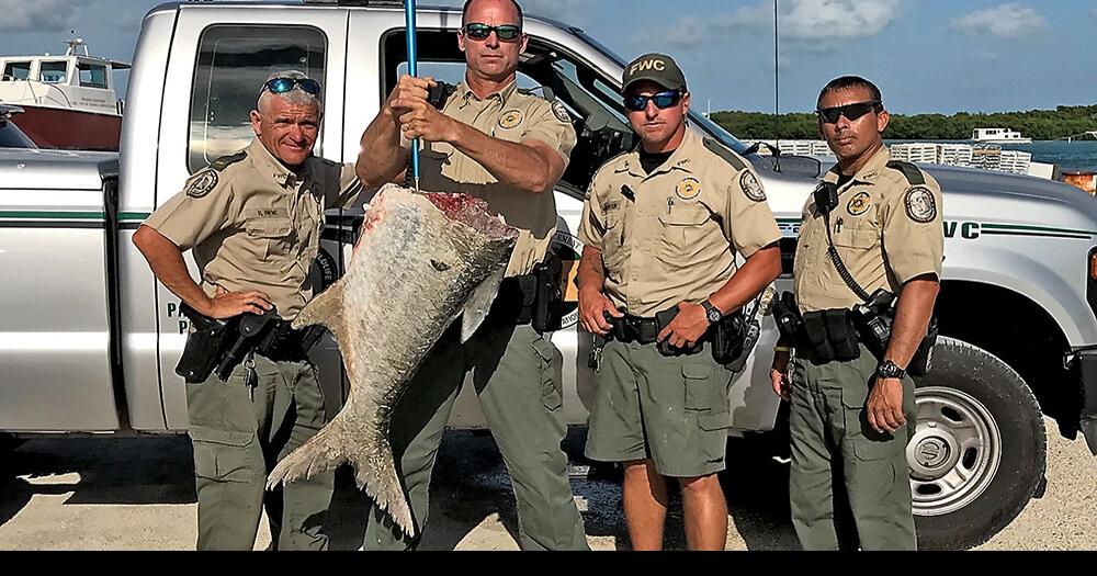 What do FWC officers do? | Waterline | yoursun.com