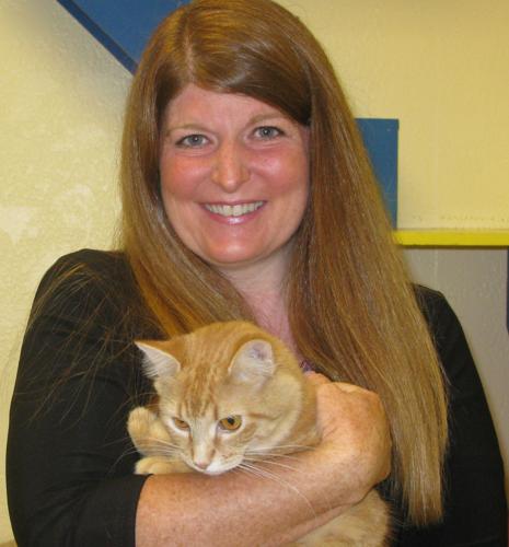 Felines and football, AWL’s new leader knows both | Local | yoursun.com