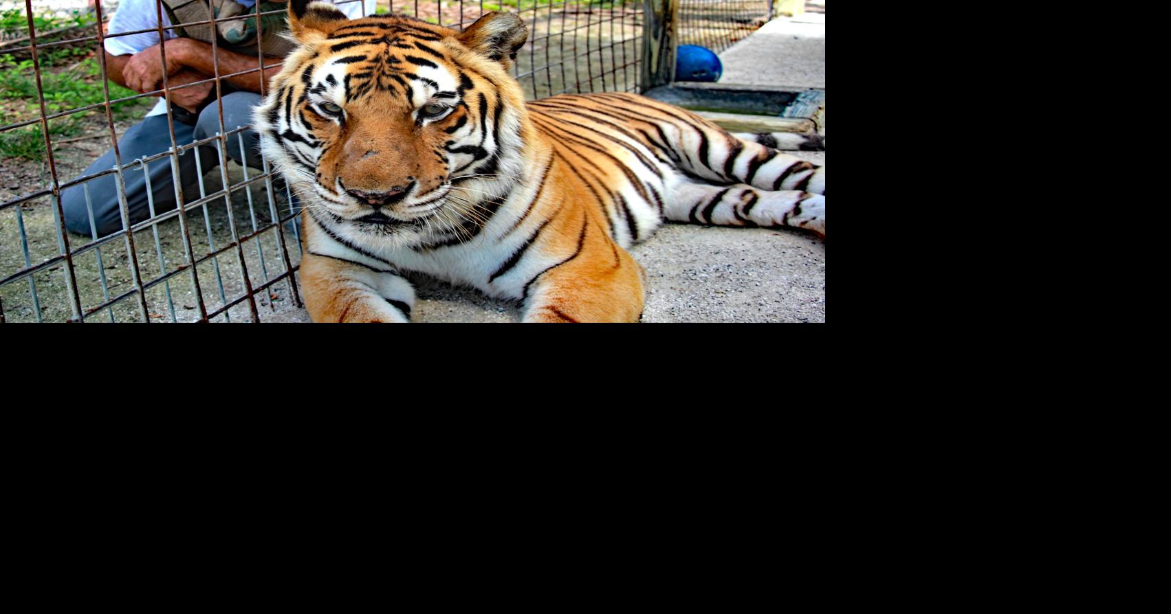 Octagon Wildlife Sanctuary appreciation day | News Archives | yoursun.com