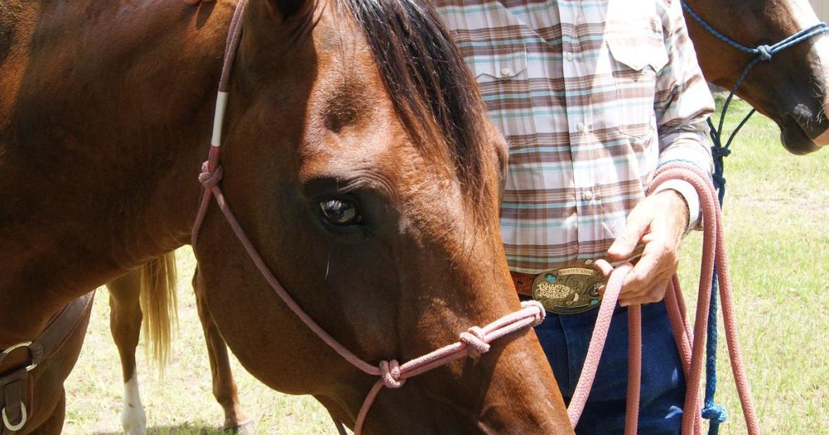 National Cowboy Day Christian Rodeo | Go! | yoursun.com
