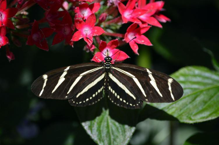 MOSI: Worth price, drive | News Archives | yoursun.com