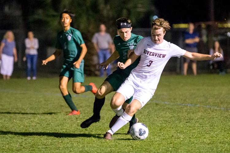 Parks proposal would make Wellfield a sports complex | The Gondolier ...