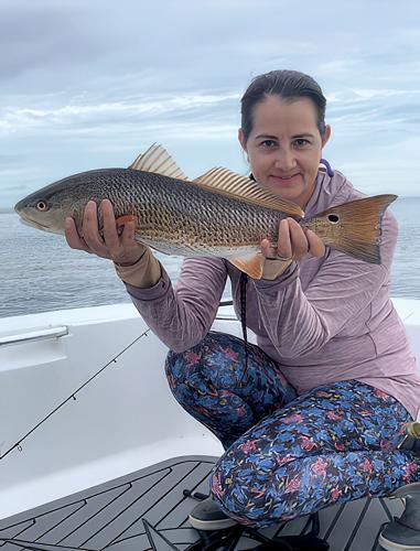 Reader photos | Waterline | yoursun.com