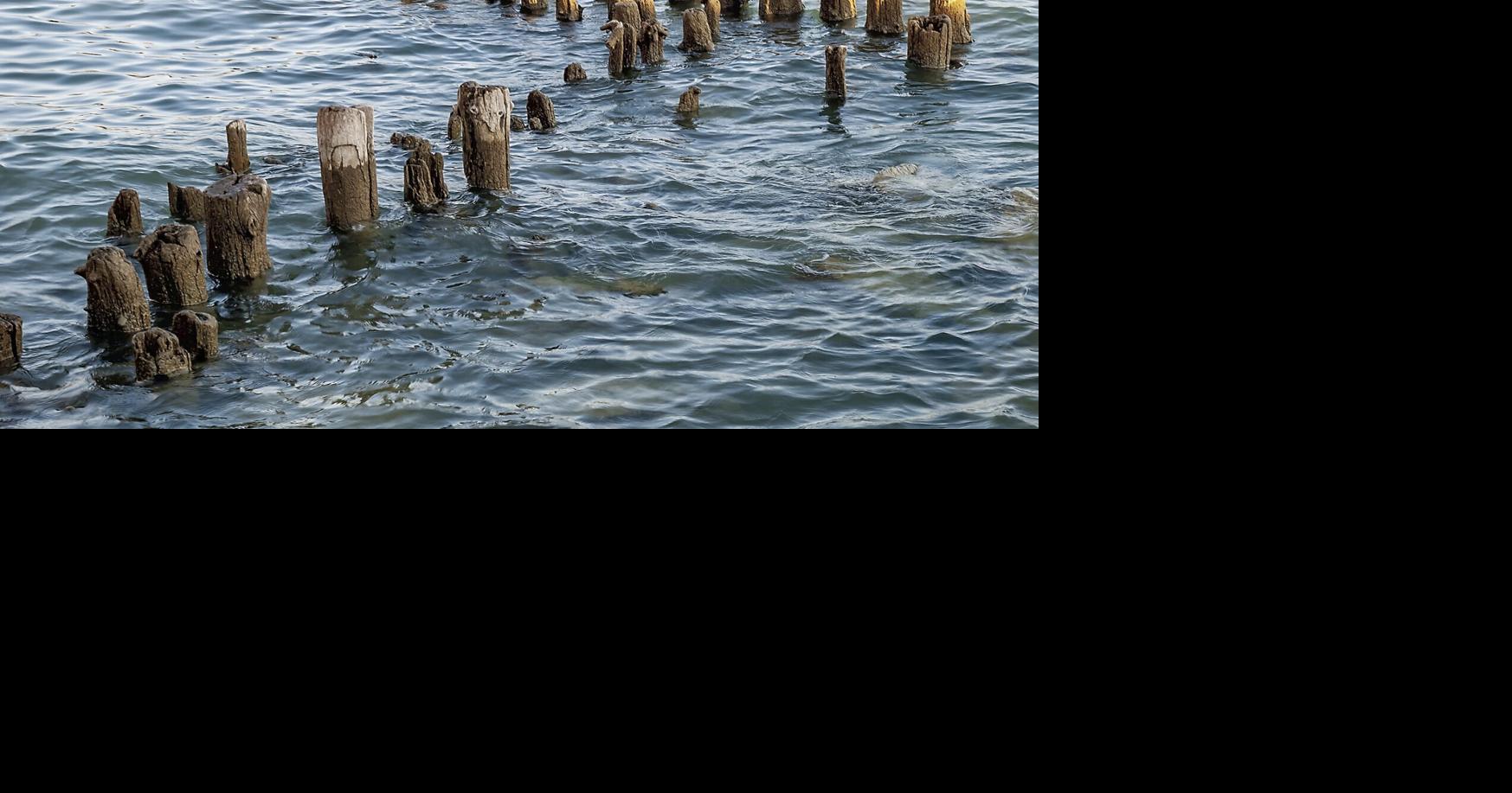 Pilings, pylons, docks & piers | Waterline | yoursun.com