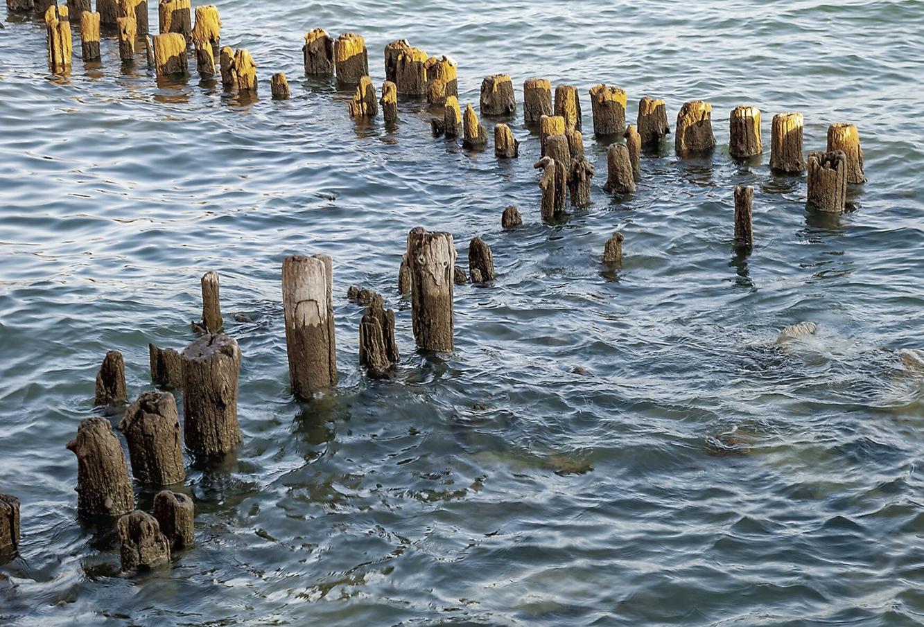 Pilings, pylons, docks & piers | Waterline | yoursun.com