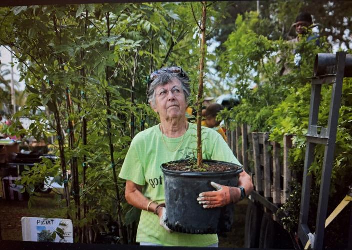 People for Trees' Tree Fair set for April 27 | Go! | yoursun.com