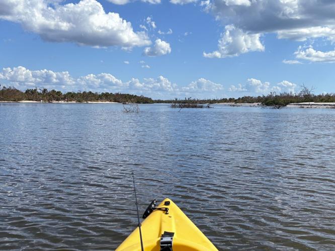 Visiting Stump Island by kayak | Waterline | yoursun.com