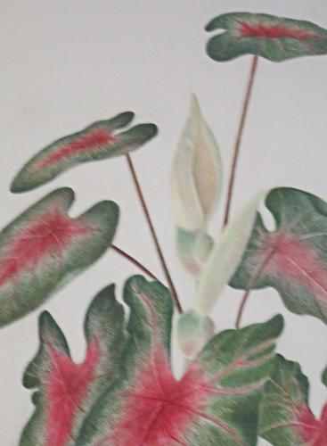 Artist of the month: Anne Tuttle | News Archives | yoursun.com