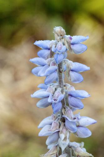 Check out Prairie/Shell Creek Preserve | Waterline | yoursun.com