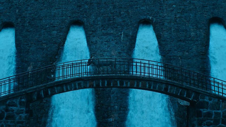 'EO' is a gorgeous portrait of a donkey | Daily Break | yoursun.com