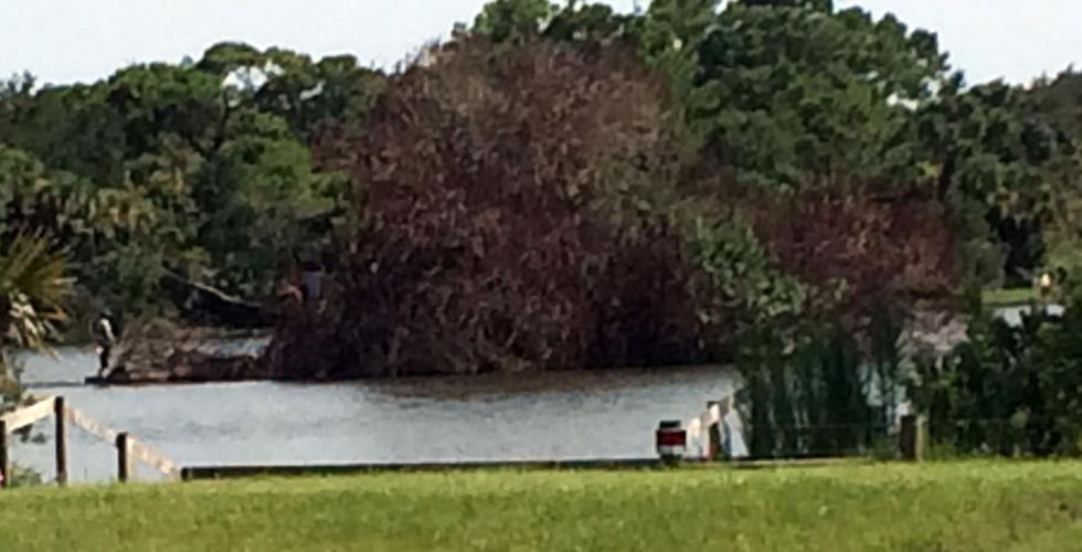 Death of ‘Rookery Island’ a mystery | News Archives | yoursun.com