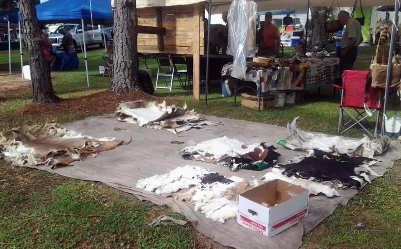 Sebring’s Doug Smith rekindles ancient art of hide tanning ...