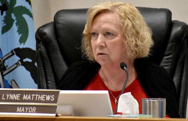 PG Council removes 2 from code enforcement board | News | yoursun.com