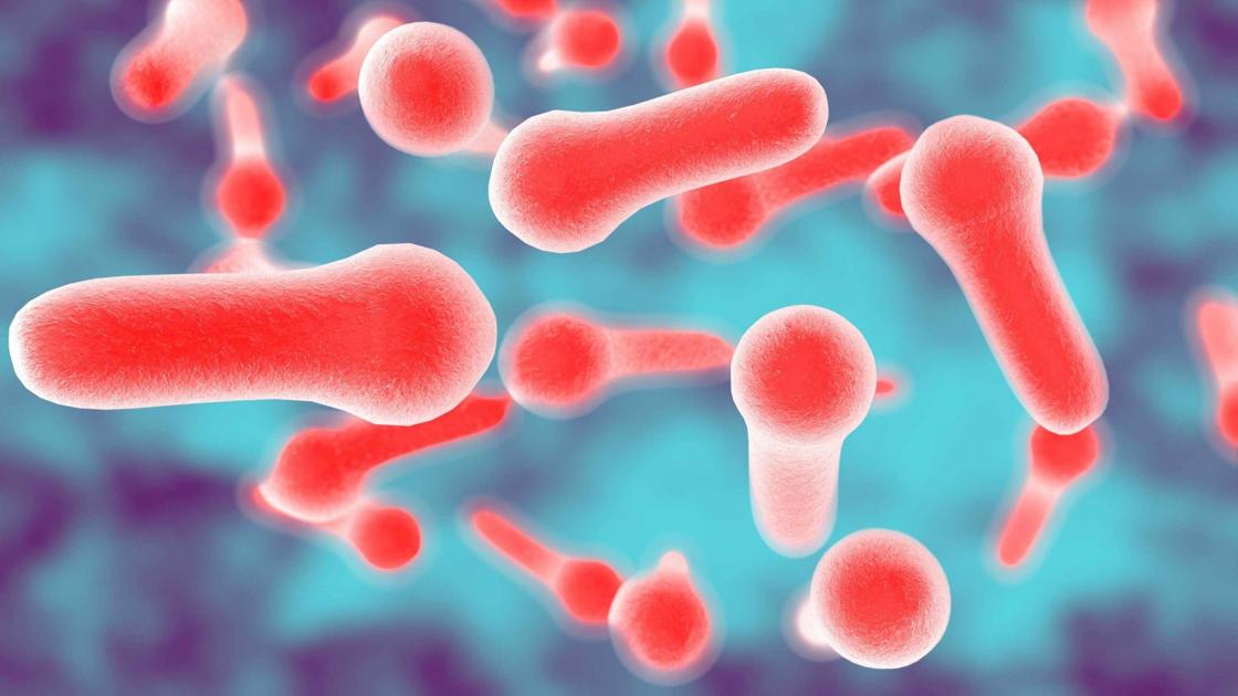 Understanding tetanus | Highlands News-Sun | yoursun.com