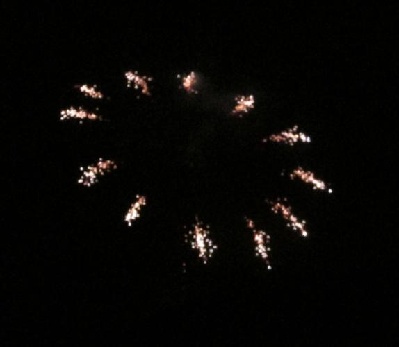 Fireworks may disrupt turtles — or not | News Archives | yoursun.com