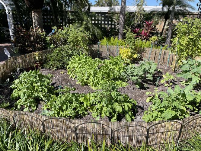 COLUMN: See the beauty, secrets at Garden Club's 34th tour | News ...