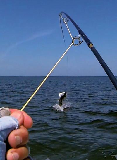 Watch that line | Waterline | yoursun.com