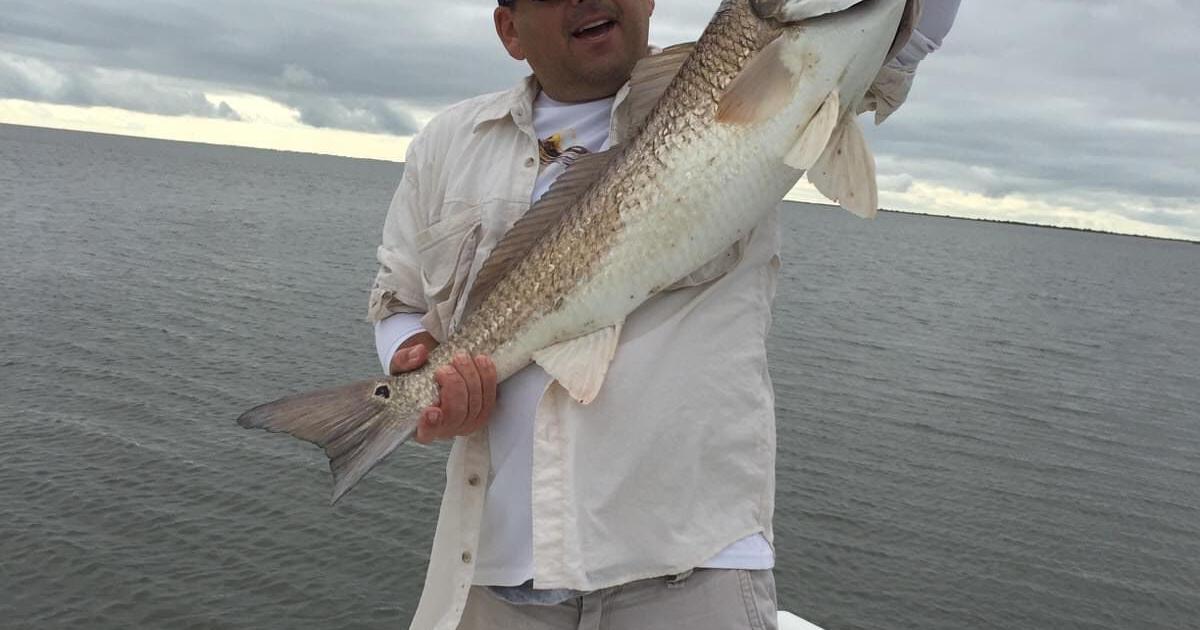 Local prosecutor Dan Feinberg receives prestigious award | The Daily ...