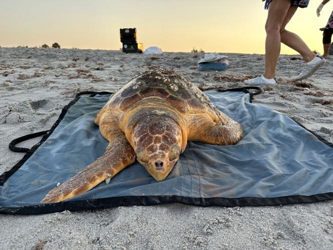 Cara gets a happy ending | News | yoursun.com