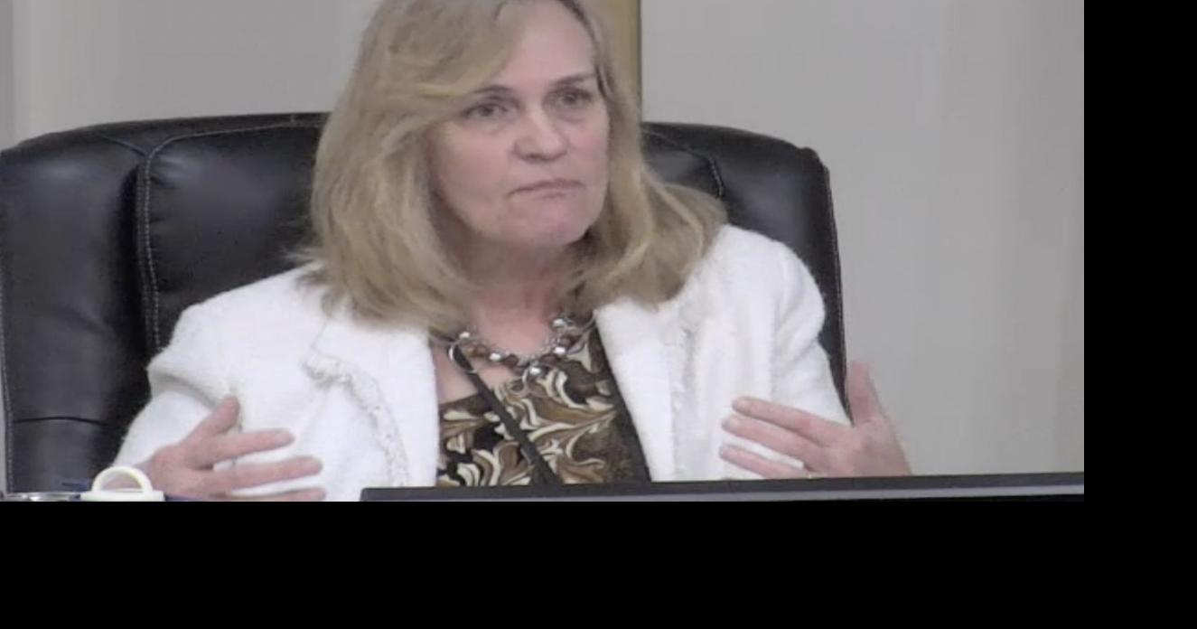 NORTH PORT: Former commissioner leads petition effort to fire city ...