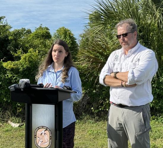 On python patrol: Burmese pythons have been seen in area | Port ...